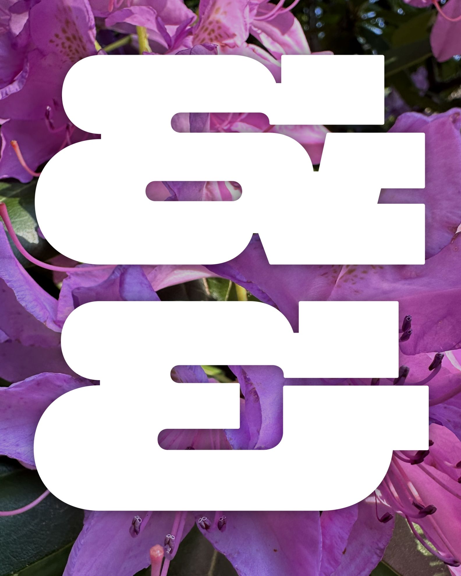 June’s Font of the Month: Rhody Wide | David Jonathan Ross