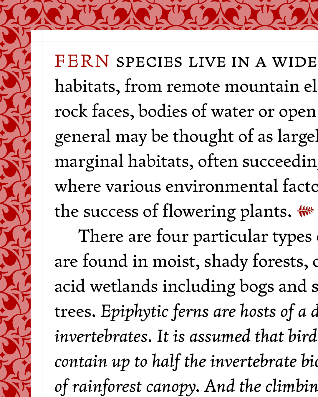 DJR | David Jonathan Ross