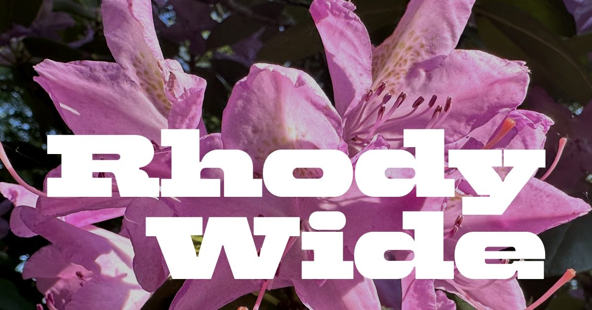 June’s Font of the Month: Rhody Wide | David Jonathan Ross